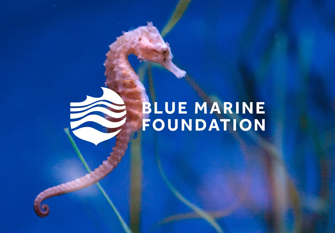 Eco Friendly Cleaning Products | OceanSaver