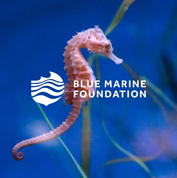 Eco Friendly Cleaning Products | OceanSaver